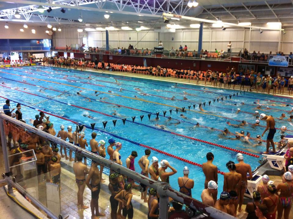 The Six Best Swimming Pools in Auckland - Concrete Playground